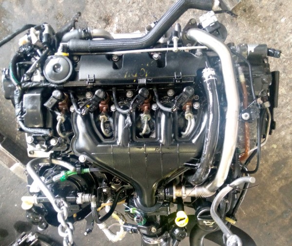 Peugeot - Tonmax Engines